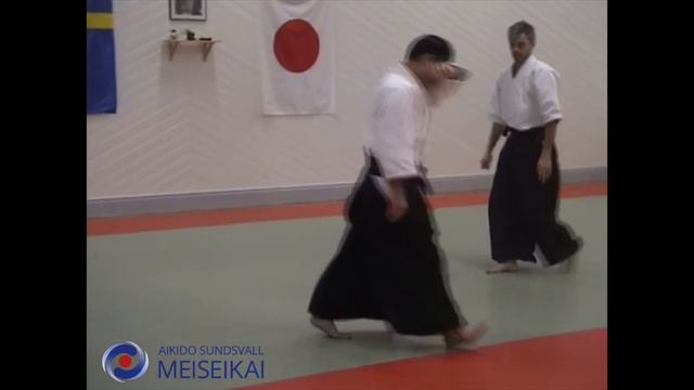 14.Aikido Ken No Tebiki Ai Hanmi Sankyo Shishiya Sensei Sandviken 2002