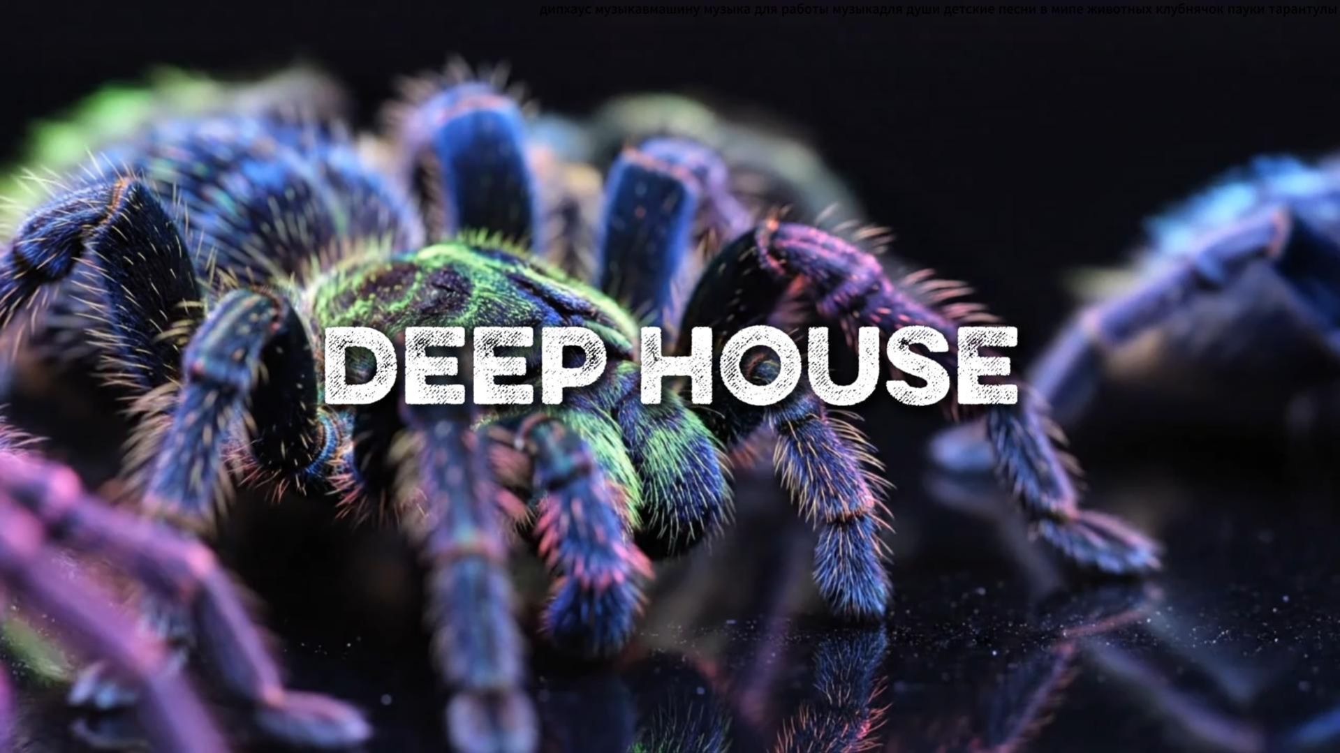 Музыка в Машину 2026 🚘 | Deep House Микс | музыка для фона