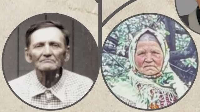 Пример фильма о семье. Семейное древо.