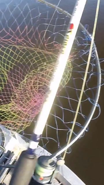 Щука за Щукой!!!