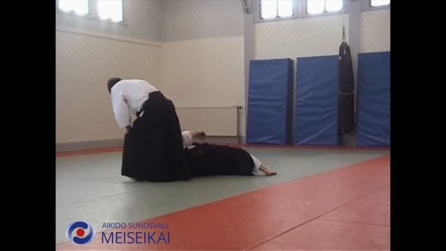 11.Aikido Ai Hanmi Koshinage Shishiya Sensei Sandviken 2002