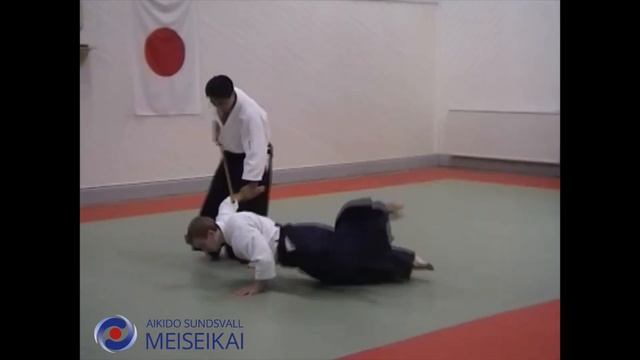 19.Aikido Jo No Tebiki Ai Hanmi Uchikaiten Sankyo Shishiya Sensei Sandviken 2002