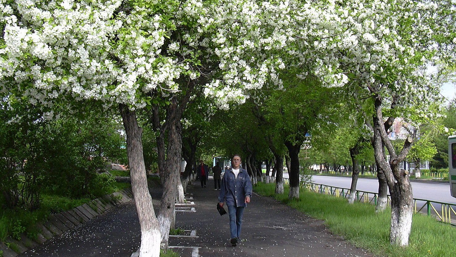 Геннадий Новаков - Ишимский вальс.