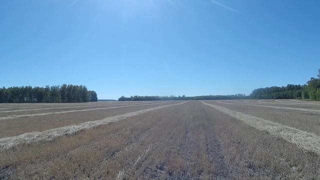 Малая Васильевка деревня в Шербакульском районе Омской области/Malaya Vasilyevka  in Omsk region