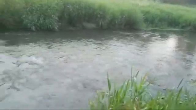 ОТКРЫТИЕ ДОРОГ С ПОМОЩЬЮ РЕКИ  ДЛЯ ВСЕХ  ВЕДЬМИНА ИЗБА  ИНГА ХОСРОЕВА