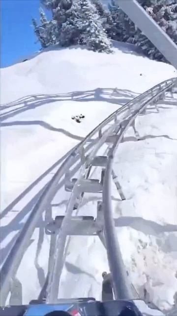 Санный спуск с горы