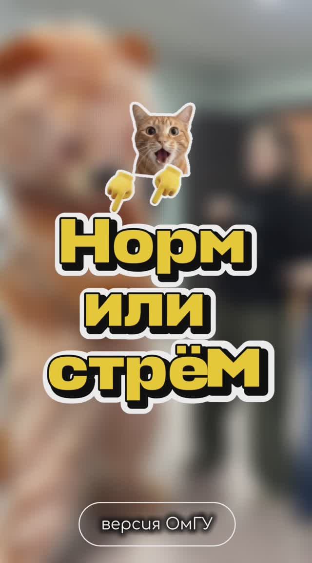 Доброе день, университет Достоевского!