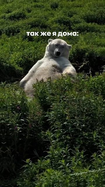 Выкладываемся на все 💯