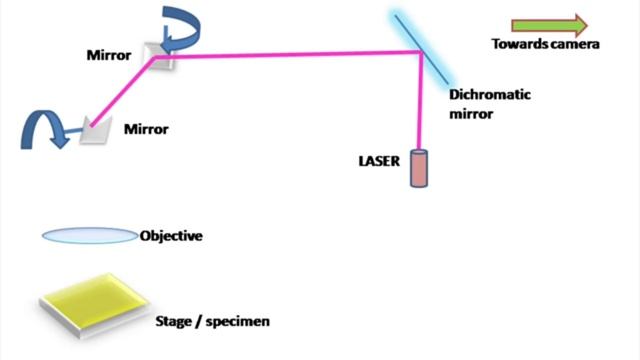 конфокал и флуоресценция.mp4