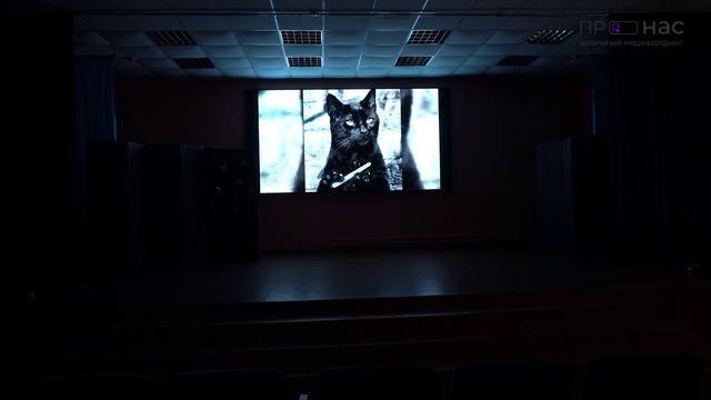 «Все мыши любят сыр» МАОУ «СОШ №108 г. Челябинска им. Героя РФ А.В. Яковлева»