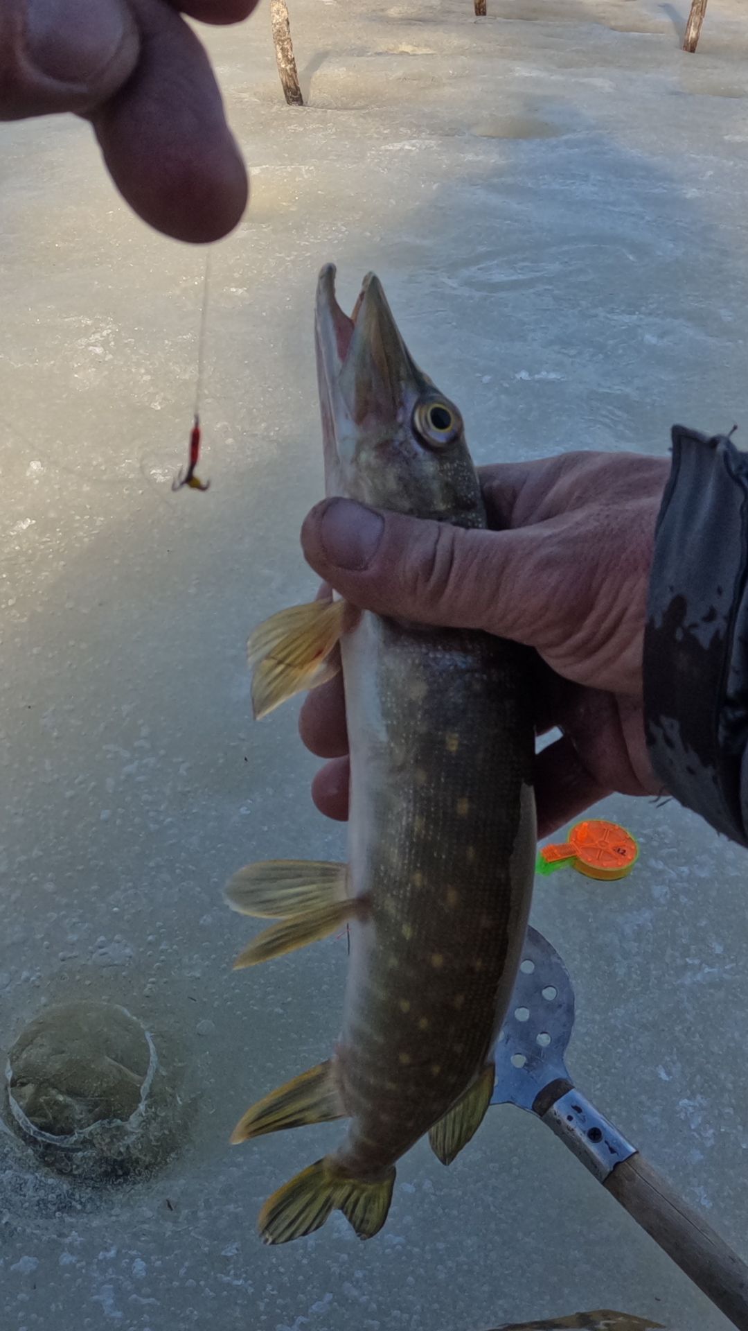 Последний лёд 2026! (2)