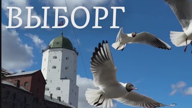 Прогулка по Выборгу за один день. Замок. Центр. Башня Олафа. Таверна. Крендели