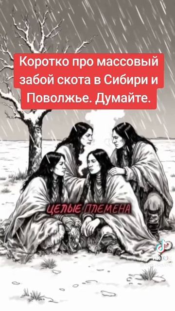 Коротко про массовой. Забой скота в Сибири и Поволжье. Думайте