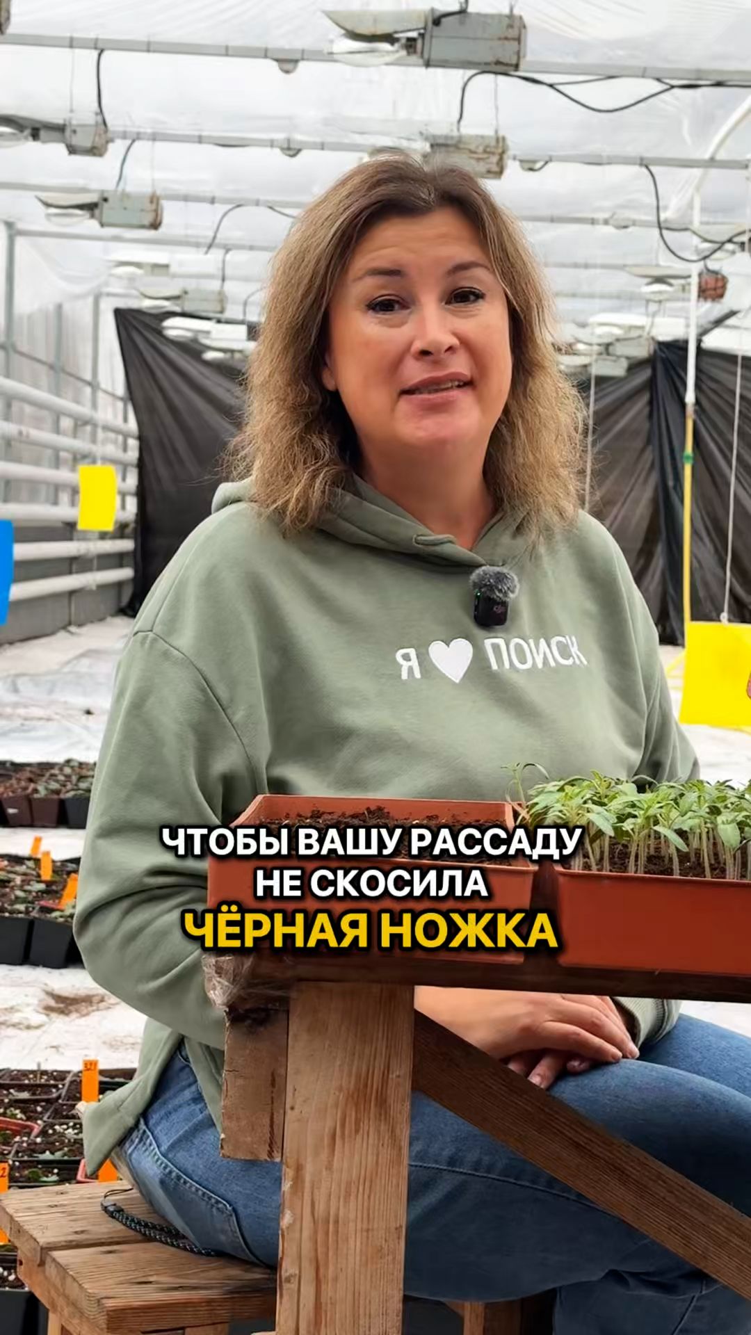 Делайте ТАК и ЧЕРНОЙ НОЖКИ на рассаде не будет!