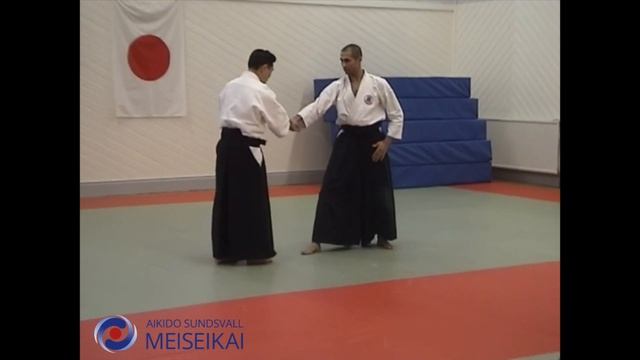 16.Aikido Ai Hanmi Kokyonage Shishiya Sensei Sandviken 2002