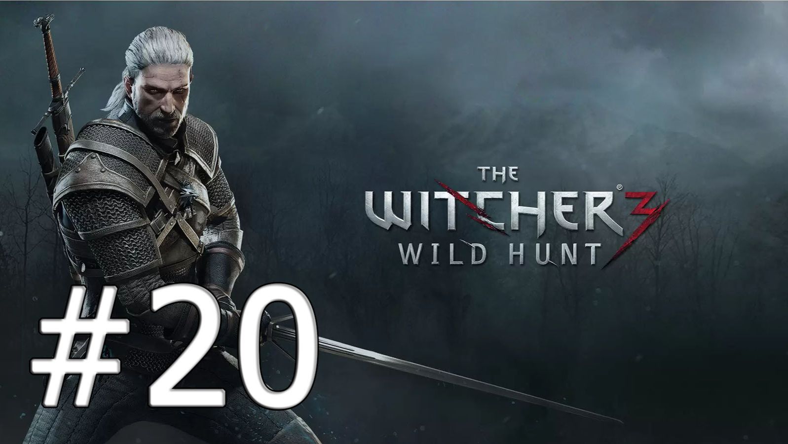 Ведьмак 3 Дикая Охота #20