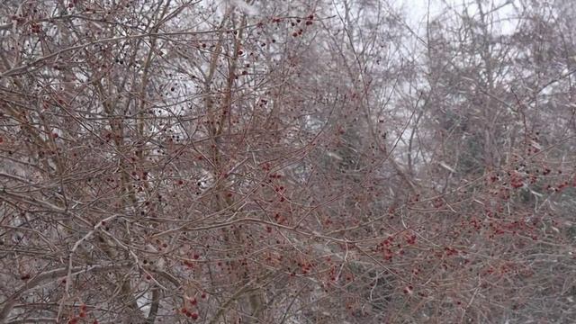 Снегопад в Кемерово