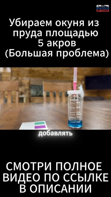 Убираем окуня из пруда площадью 5 акров 🎣🐟 (Большая проблема ⚠️) ЧАСТЬ 10/11