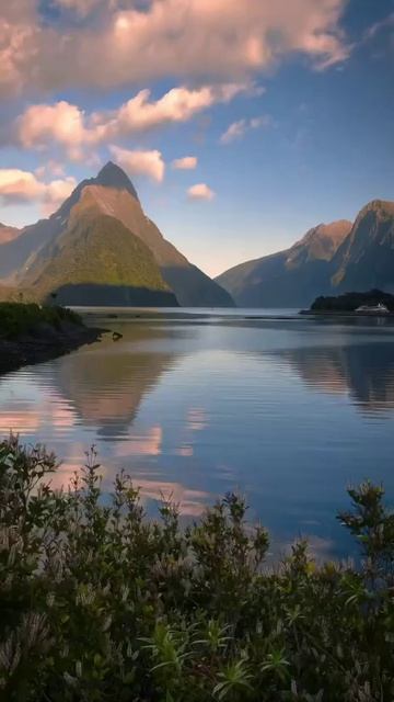 Природа Новой Зеландии