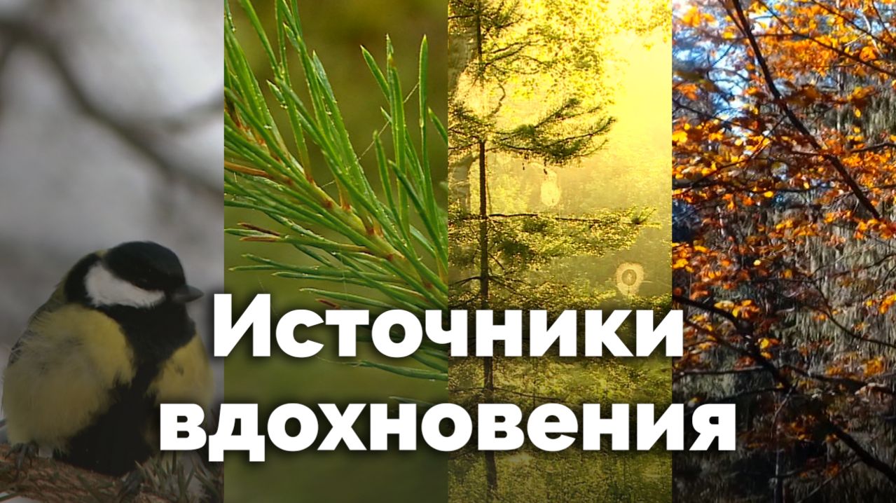 Источники вдохновения | С любовью к русской природе