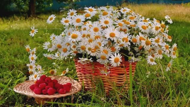 Татьяна Гейст А денёчки тают