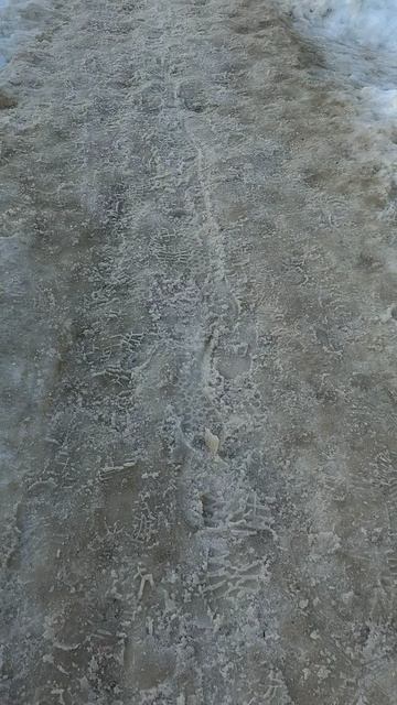 №1732 ул. Белинского. 14 марта 2026 г., 13:06:35 VID_20260314_130450389