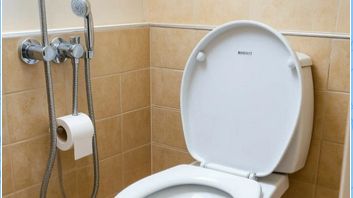 Биде на унитаз. Меняем шланг и лейку.