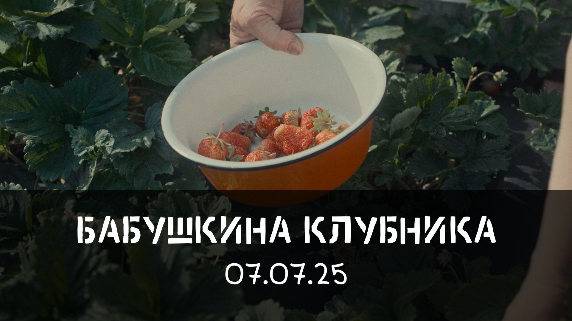 07.07.25 Бабушкина клубника