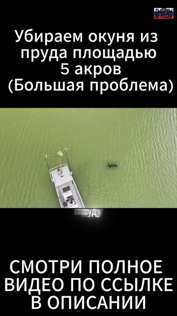 Убираем окуня из пруда площадью 5 акров 🎣🐟 (Большая проблема ⚠️) ЧАСТЬ 1/11