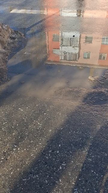 №1735 ул. Белинского. 14 марта 2026 г., 13:11:46 VID_20260314_131126788