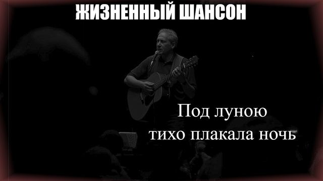 ДУШЕВНЫЙ ШАНСОН|Под луною тихо плакала ночь|ЖИЗНЕННЫЙ ШАНСОН