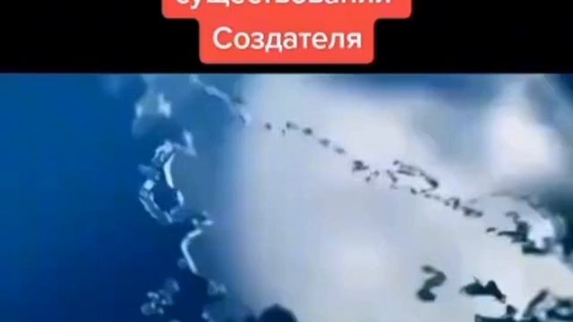 Доказательства