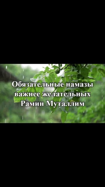 Обязательные намазы важнее желательных 🎙️Рамин Муталлим