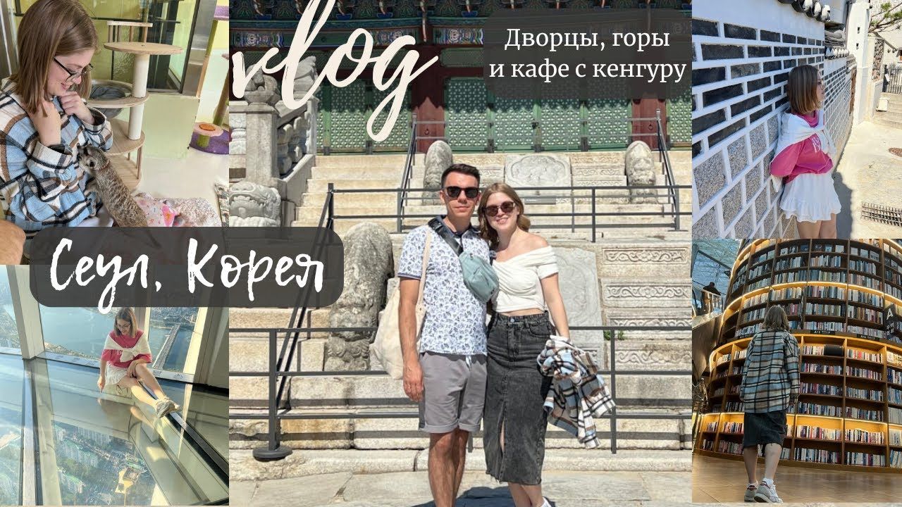 VLOG: Сеул | Дворцы, горы и кафе с кенгуру | Что посмотреть в Сеуле? | Свадебное путешествие