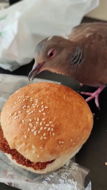 Как быстро и без усилий убрать кунжут с булочки