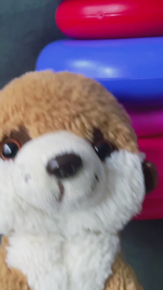 Весёлый сусля