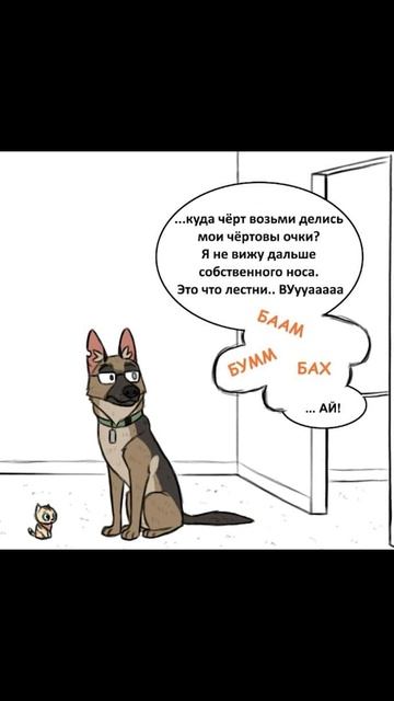 Прогулка. Пикси и Брут