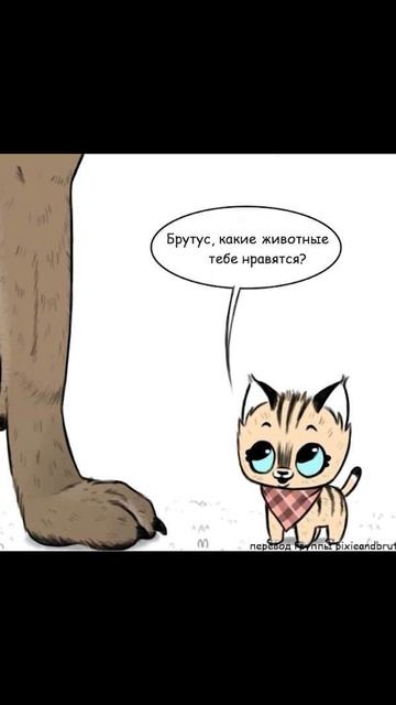 Новая машина. Пикси и Брут