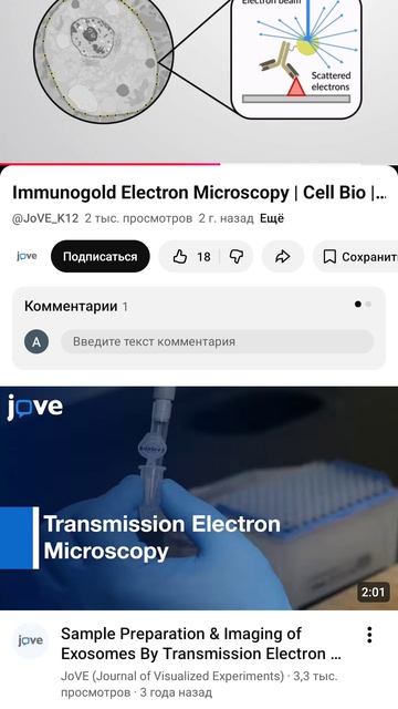 Иммуноголд электронная микроскопия .mp4
