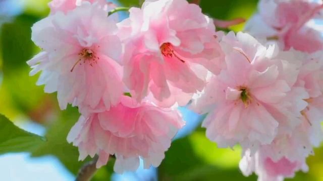 знаю автор и исполнитель Олег Сапегин