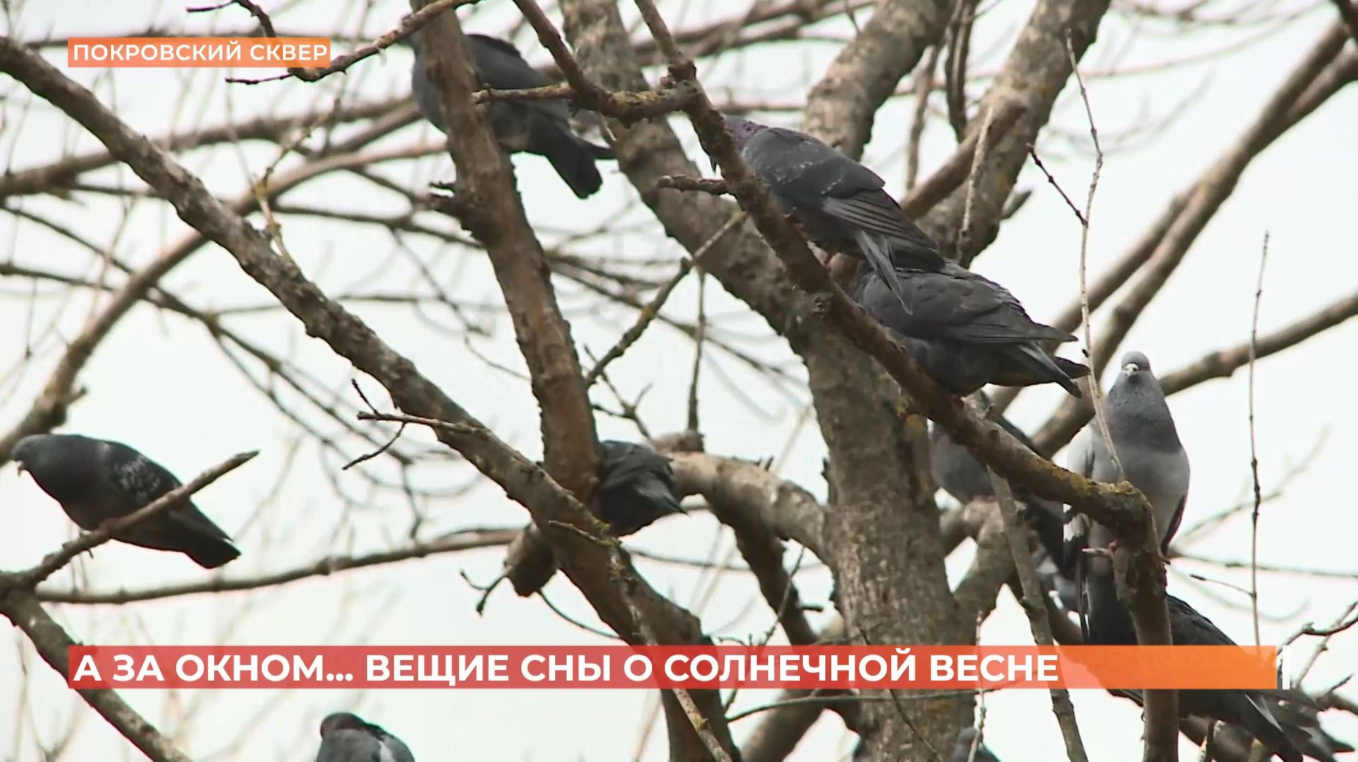 А за окном. 18 марта 2026