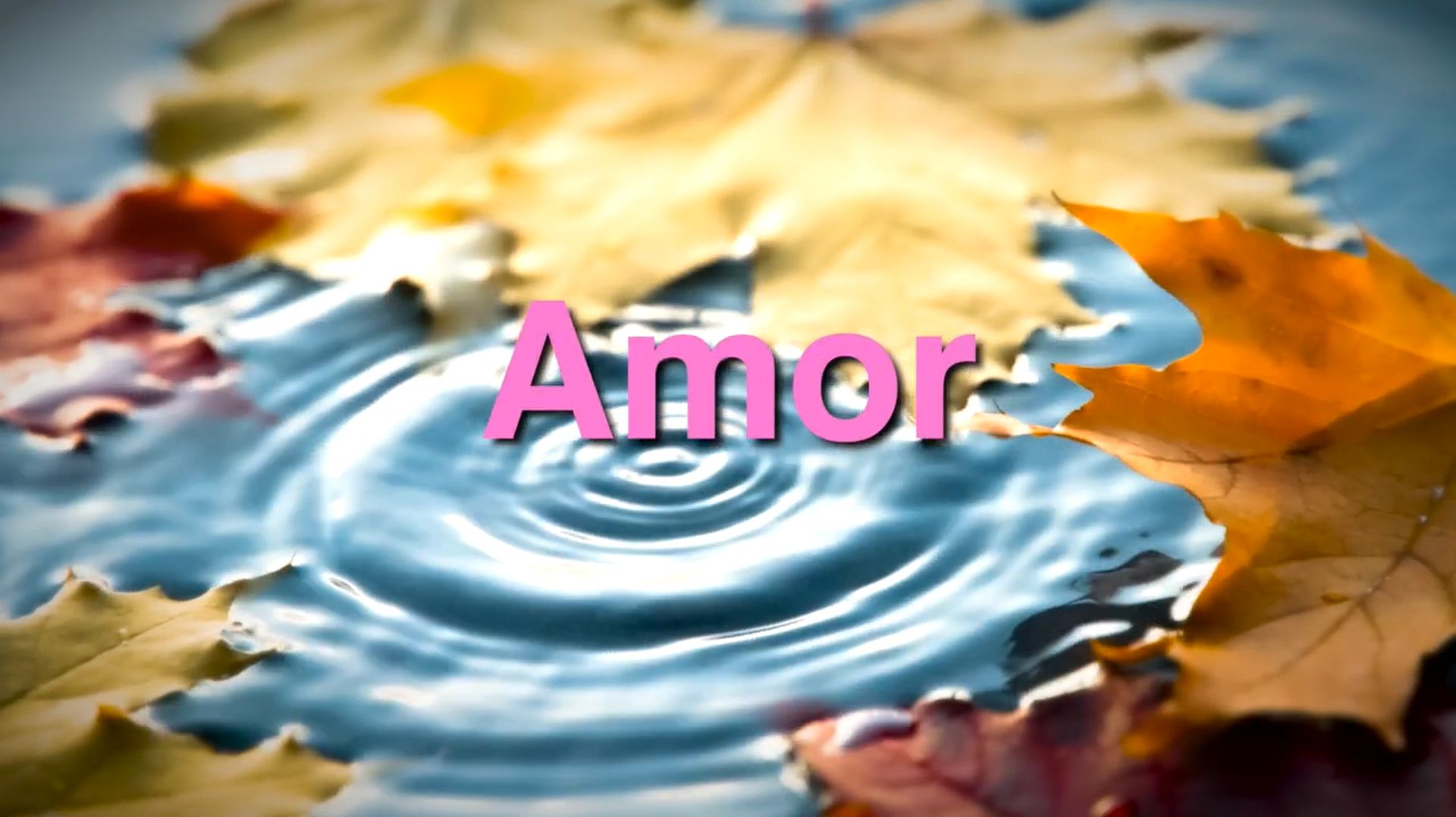 Amor