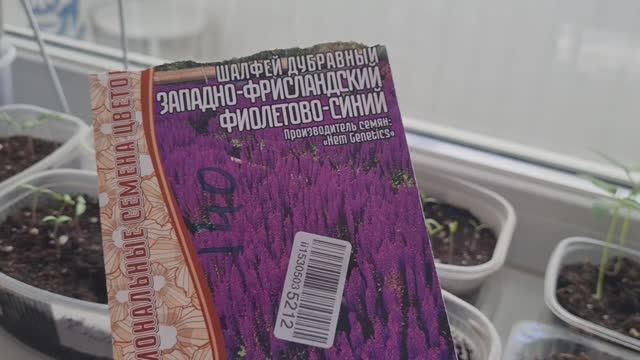 Обзор рассады на 17.03.26г.🌱Приятный сюрприз.🌱На даче тепло.🌞Ужин.