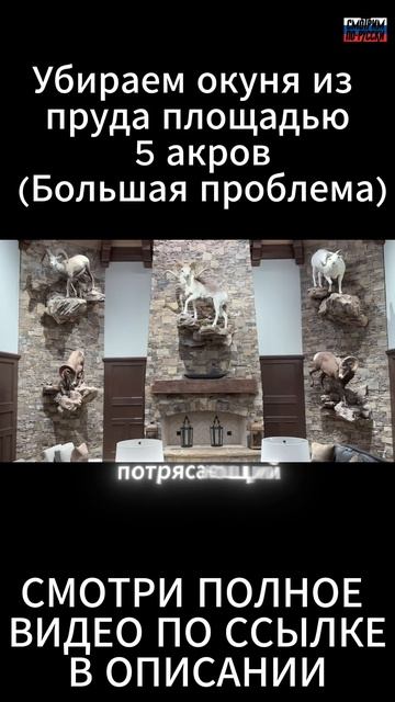 Убираем окуня из пруда площадью 5 акров 🎣🐟 (Большая проблема ⚠️) ЧАСТЬ 7/11