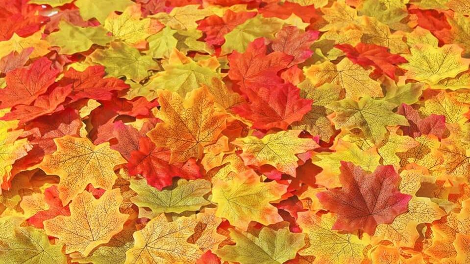 Хочу вернуться! (стихи Марины Шмидт муз. Зеленин А.Б)