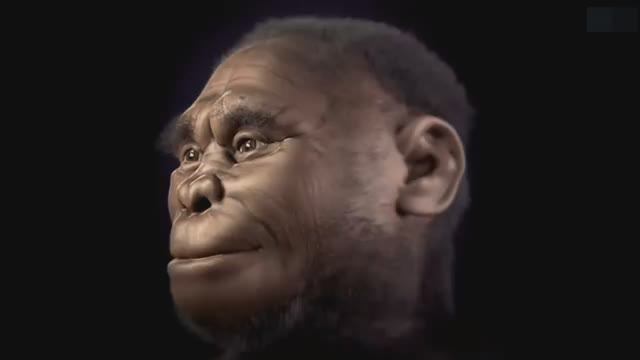 Ученые обнаружили ГИГАНТСКОЕ ЯЙЦО в Антарктиде