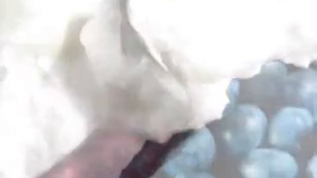 Чудо - Воздушное Чудо с тропическими фруктами (2007)