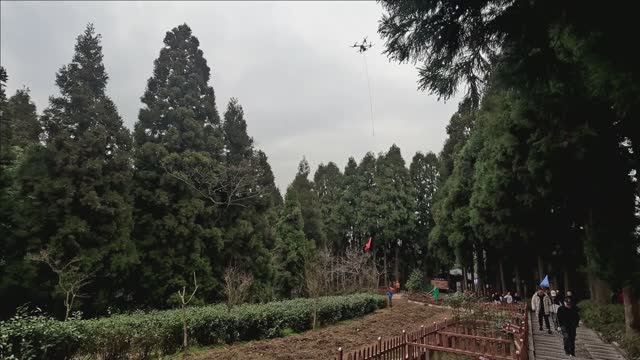 Грузовой Дрон DJI Fly Car 30, DJI Флай Кар 30 в Действии