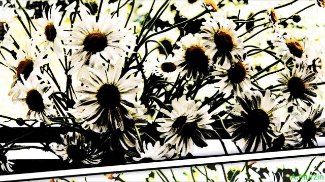 Alexander Karshkov - Guitar Epic