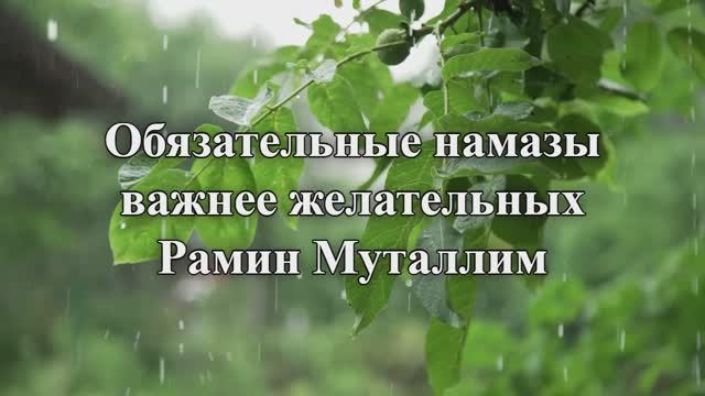 Обязательные намазы важнее желательных 🎙️Рамин Муталлим
